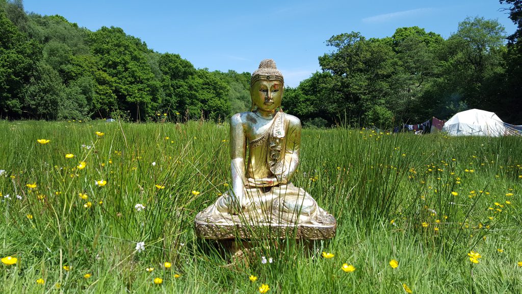 January | 2017 | The Secret Life of Buddhafield