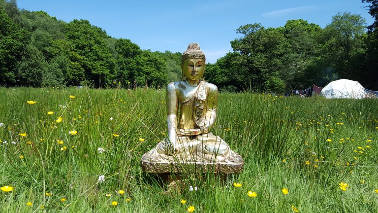 The Secret Life of Buddhafield | A window into what goes on behind the ...