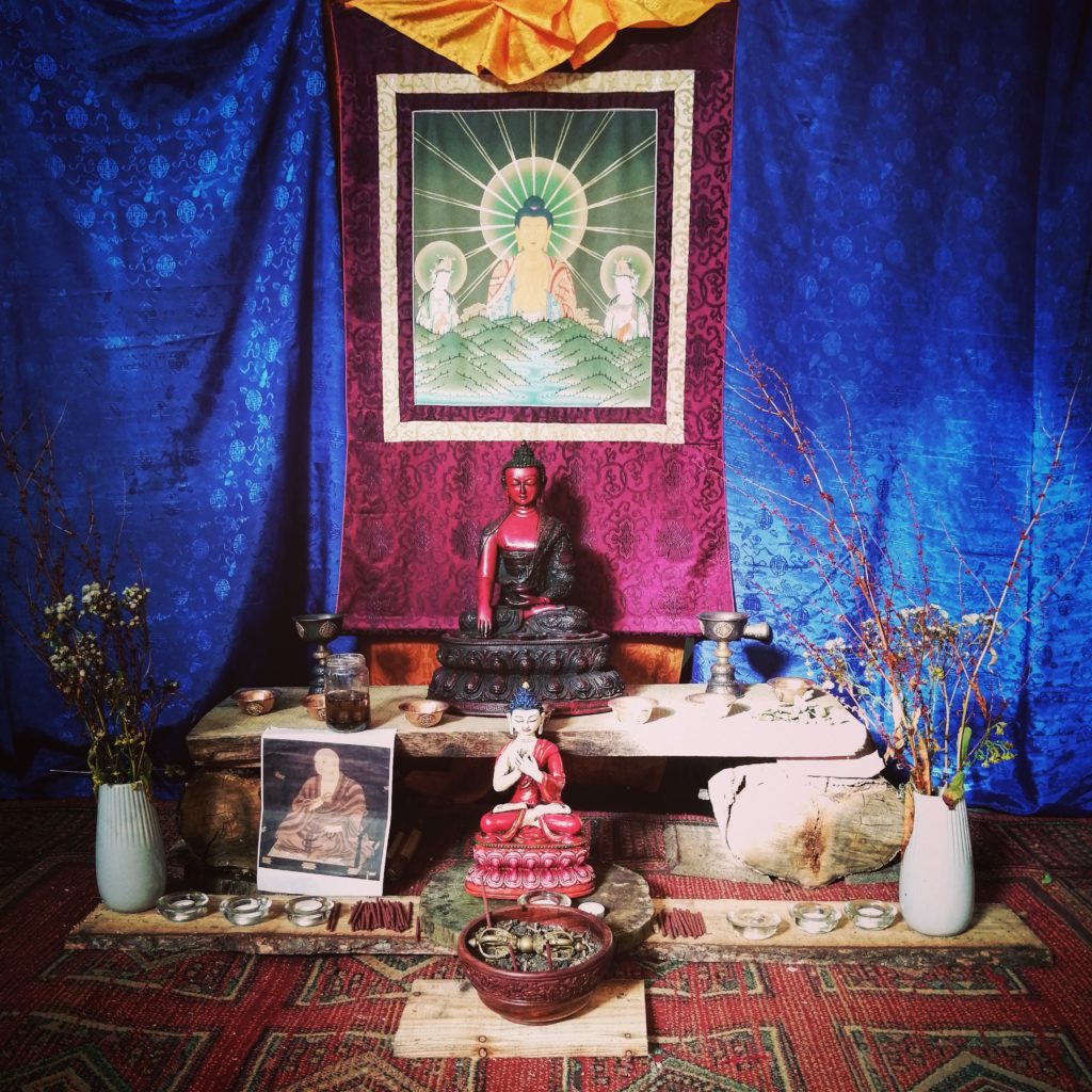 The Secret Life of Buddhafield | A window into what goes on behind the ...