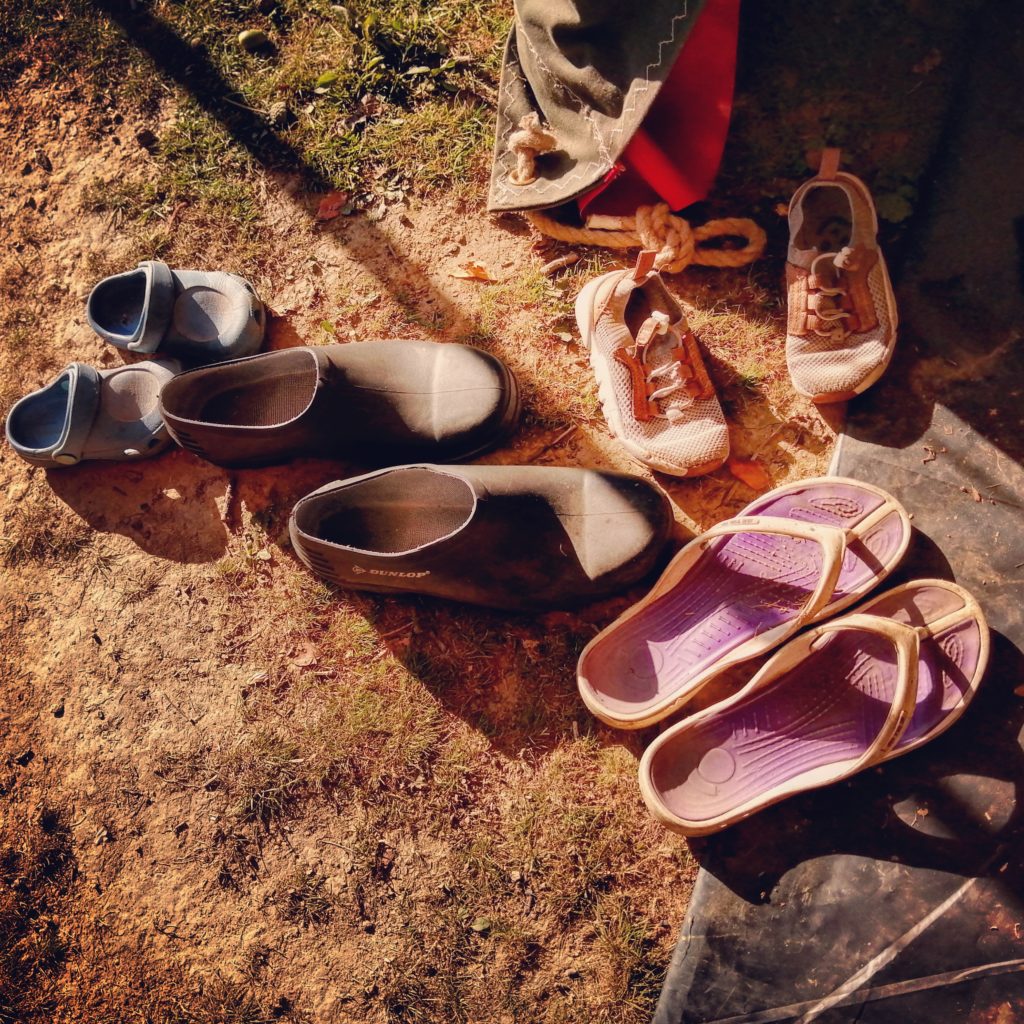 The Secret Life of Buddhafield | A window into what goes on behind the ...